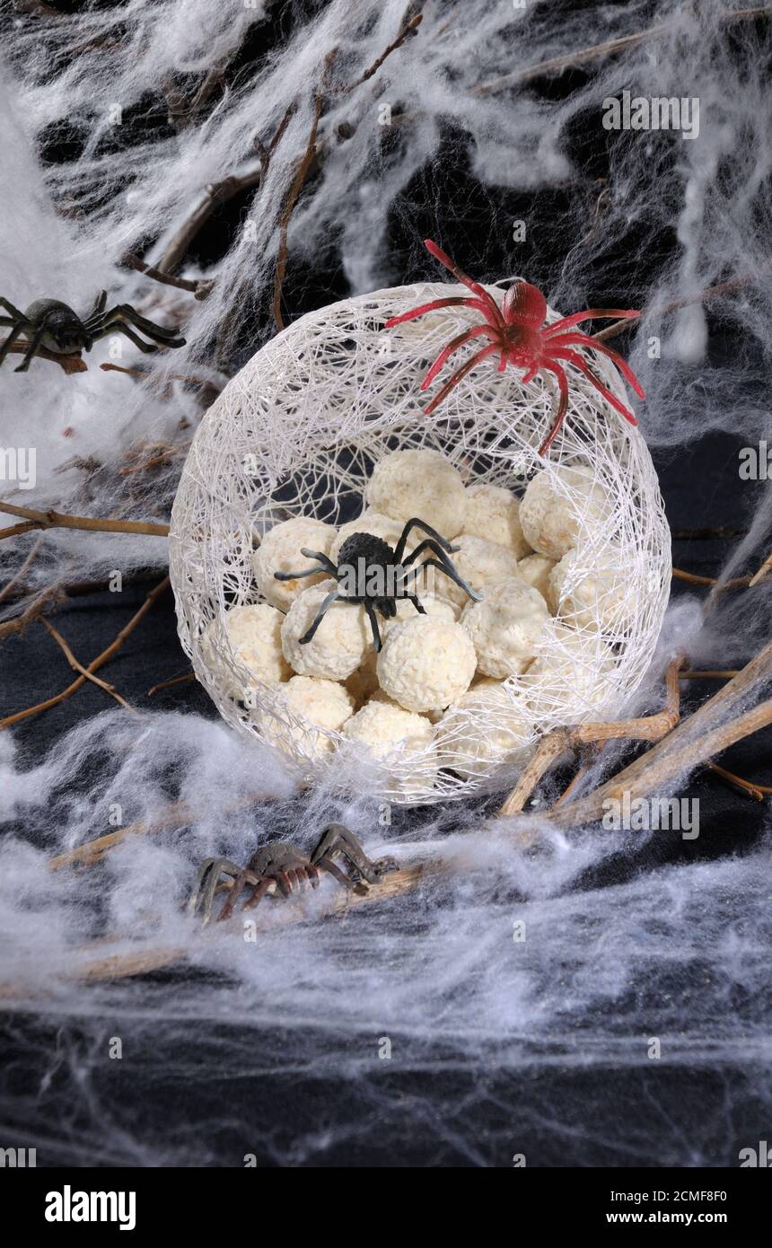 Coconut spider hi-res stock photography and images - Alamy