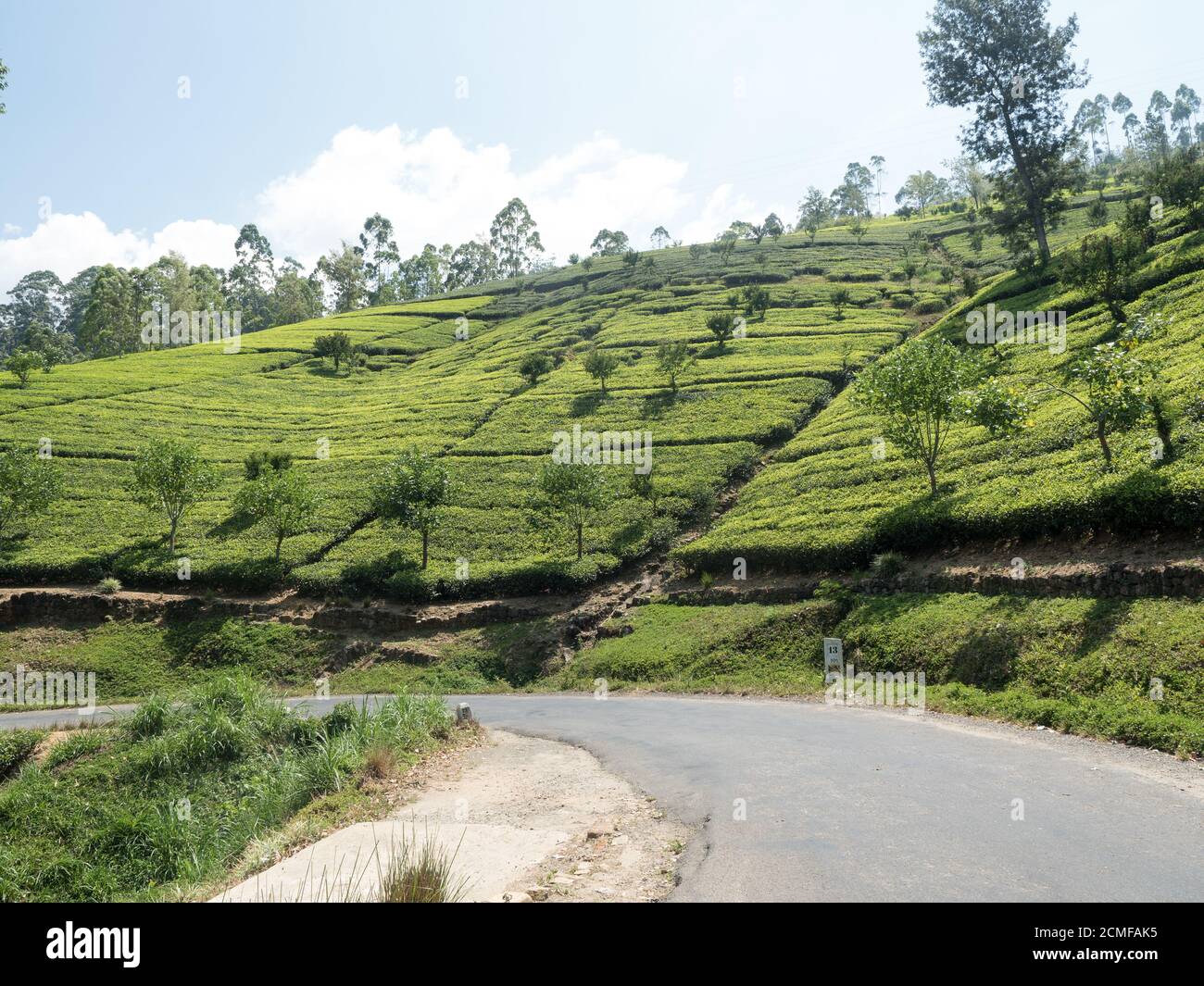 Kandy sri lanka tea plantations hi-res stock photography and images - Alamy