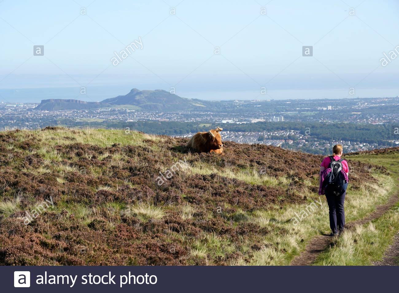 Pentlands recreation hi-res stock photography and images - Alamy