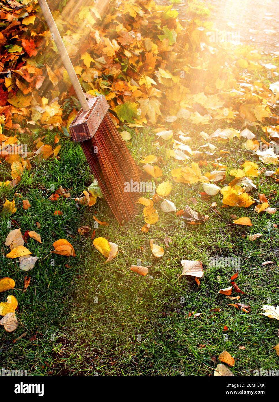 Traditional bristle broom and colorful leaves in autumn sunlight Stock ...