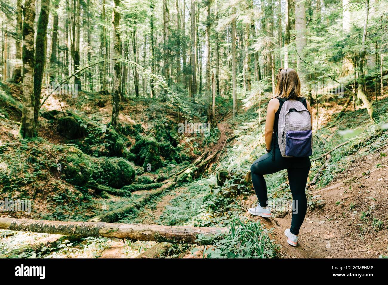 Young female nature explorer in the forest Stock Photo - Alamy