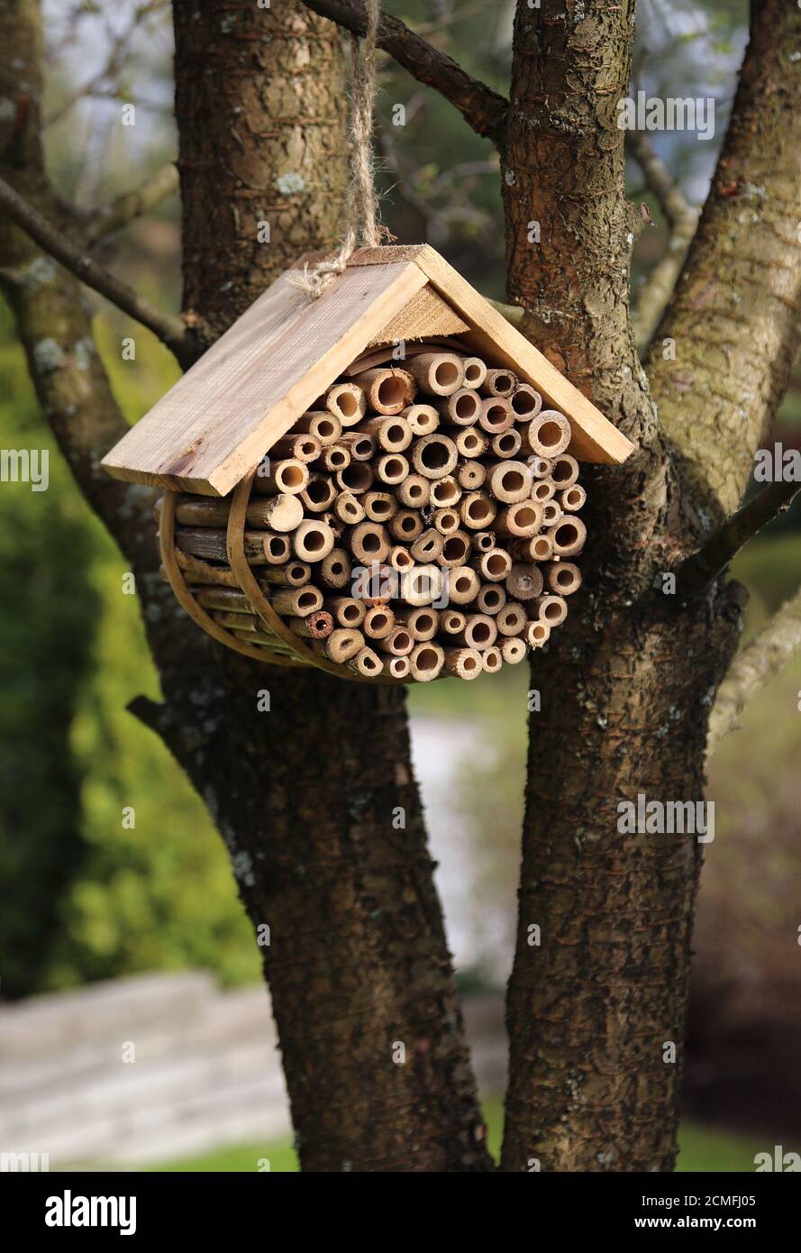 Wooden bug hotel for insects hanging in garden tree Stock Photo - Alamy