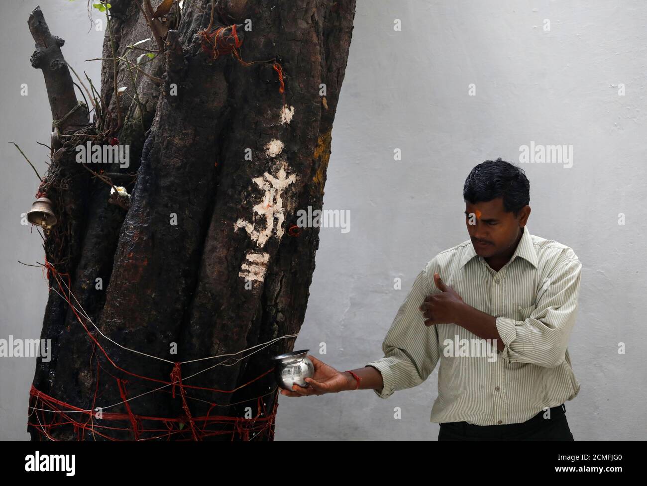 Sacred Fig Tree Hindu High Resolution Stock Photography and Images - Alamy