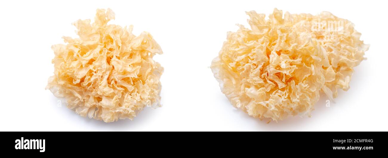 Dried snow fungus, also known as snow ear, white jelly mushroom, silver ...