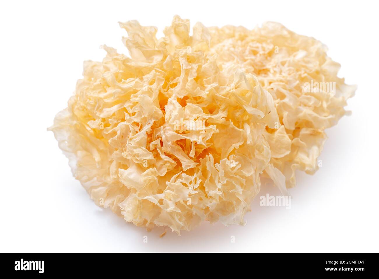 Dried snow fungus, also known as snow ear, white jelly mushroom, silver ...