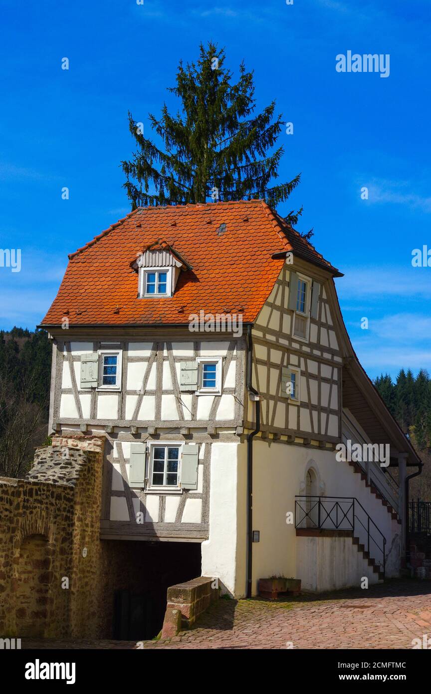 Tudor family tree hi-res stock photography and images - Alamy