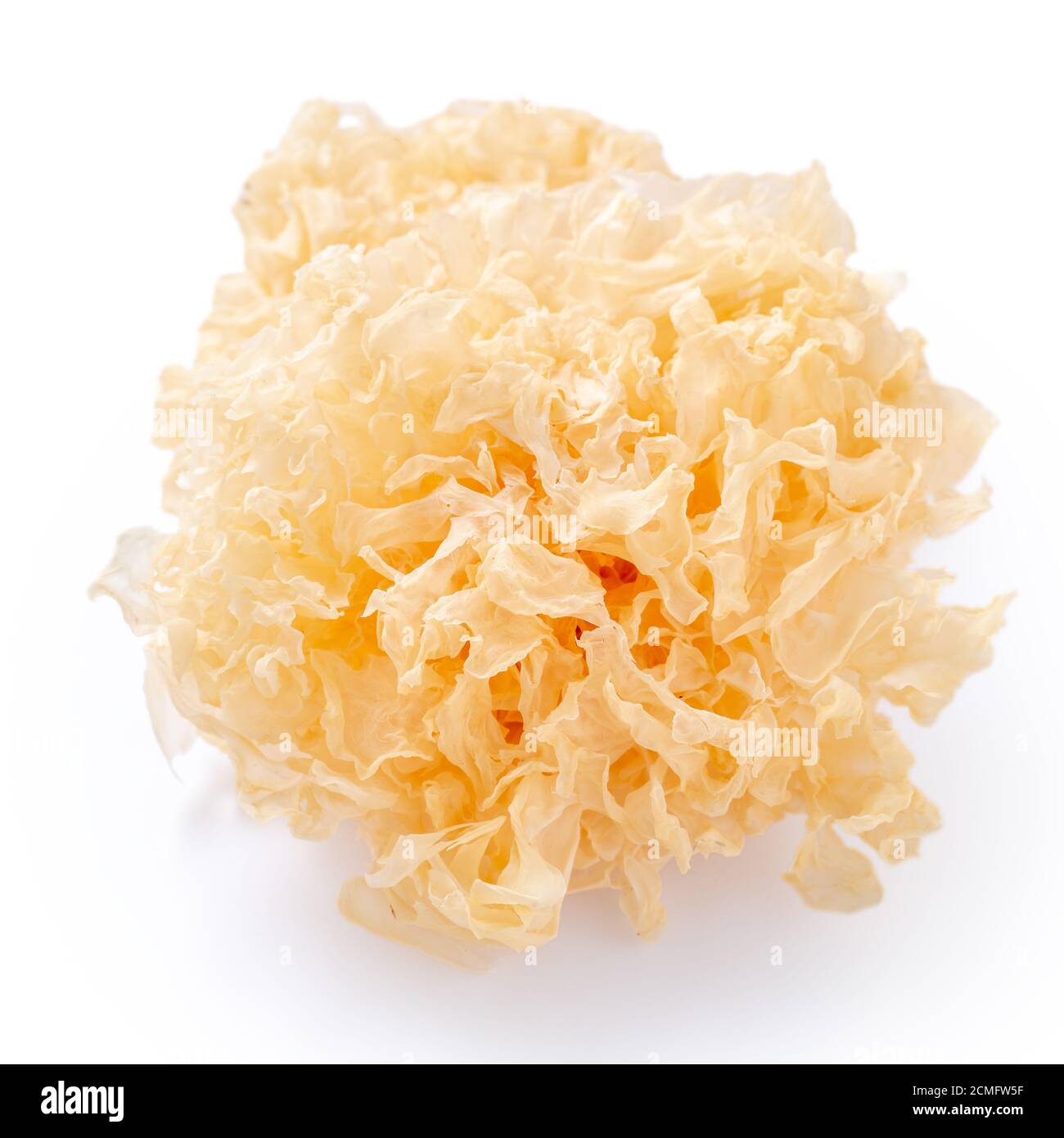 Dried snow fungus, also known as snow ear, white jelly mushroom, silver ...