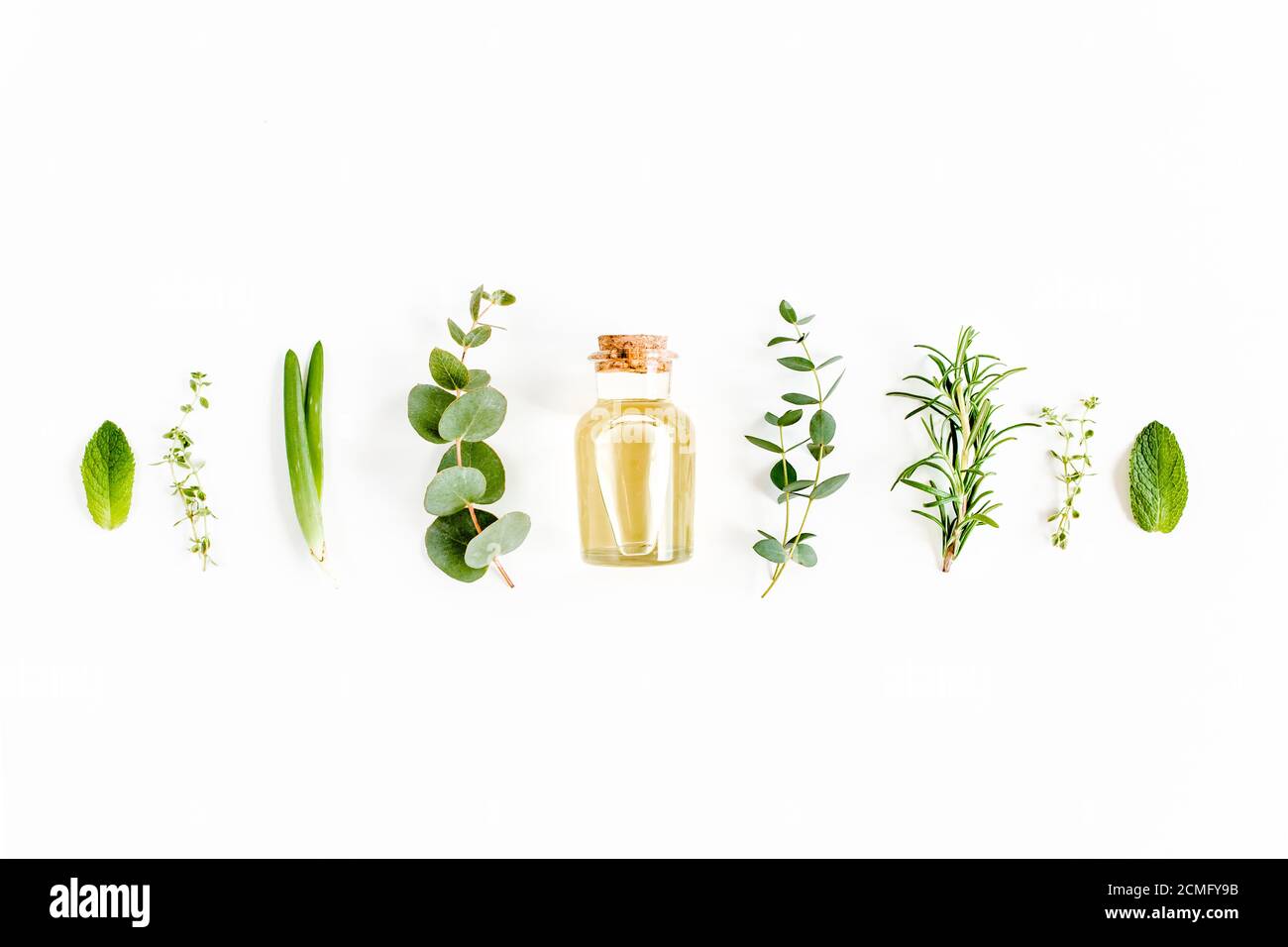 Essential oil and mix of herbs, green branches, leaves eucalyptus, aloe ...