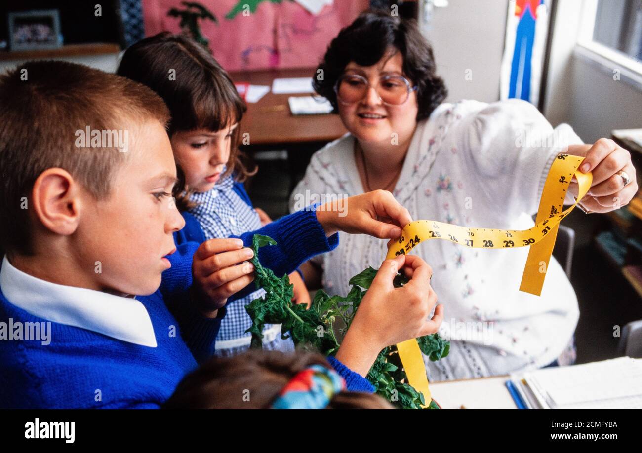 Teaching staff work with children at Woolton Hill Primary School in ...
