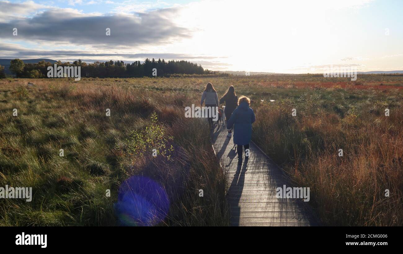 Flanders moss nature reserve hi-res stock photography and images - Alamy