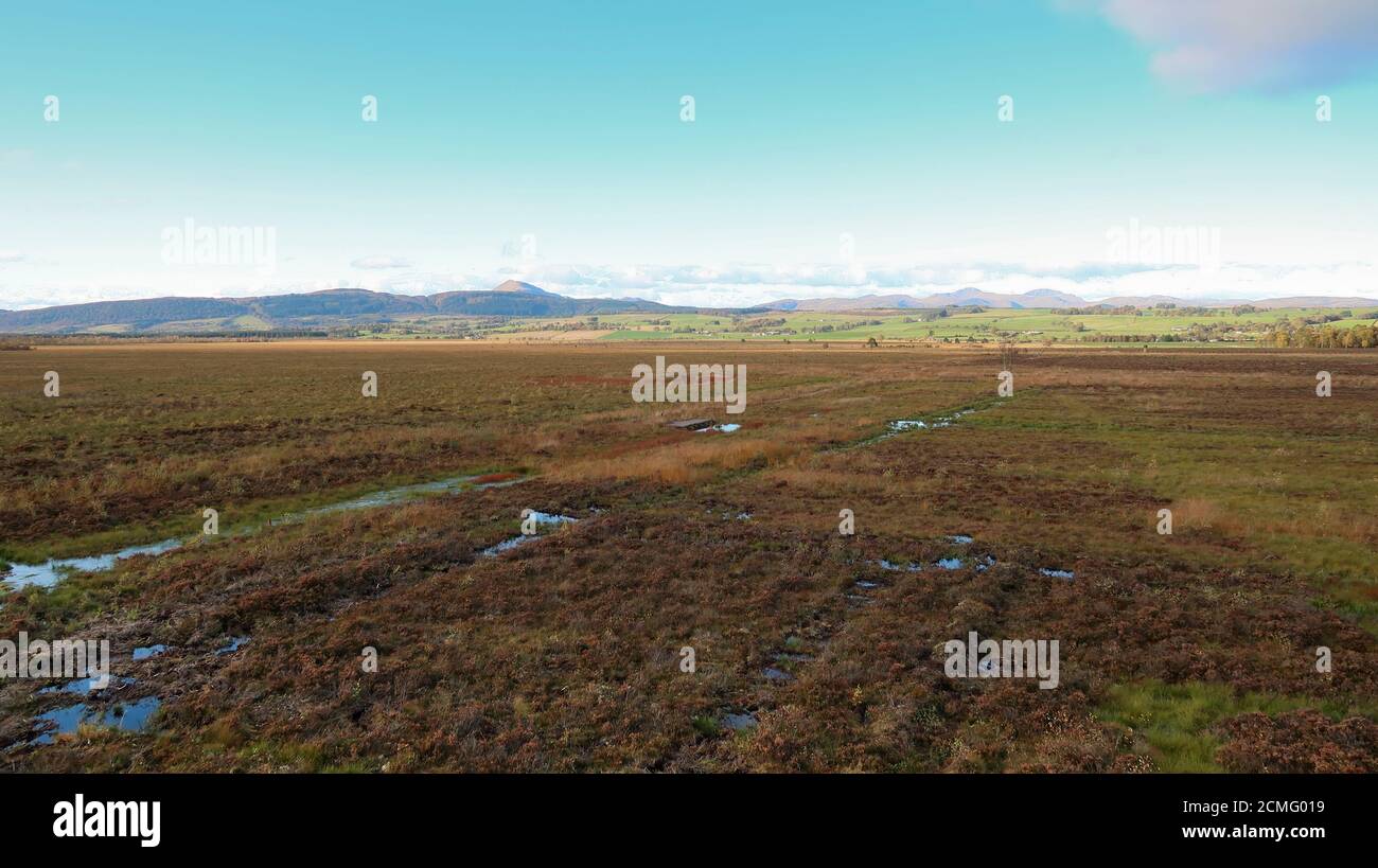 Flanders moss nature reserve hi-res stock photography and images - Alamy