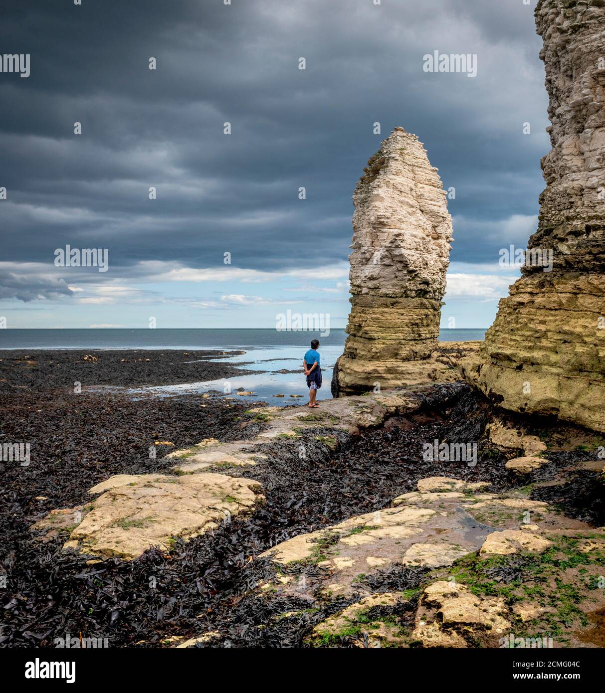 North sea seaweed hi-res stock photography and images - Alamy