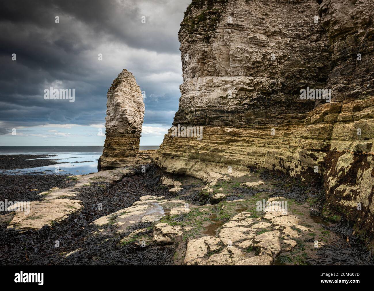 North sea seaweed hi-res stock photography and images - Alamy