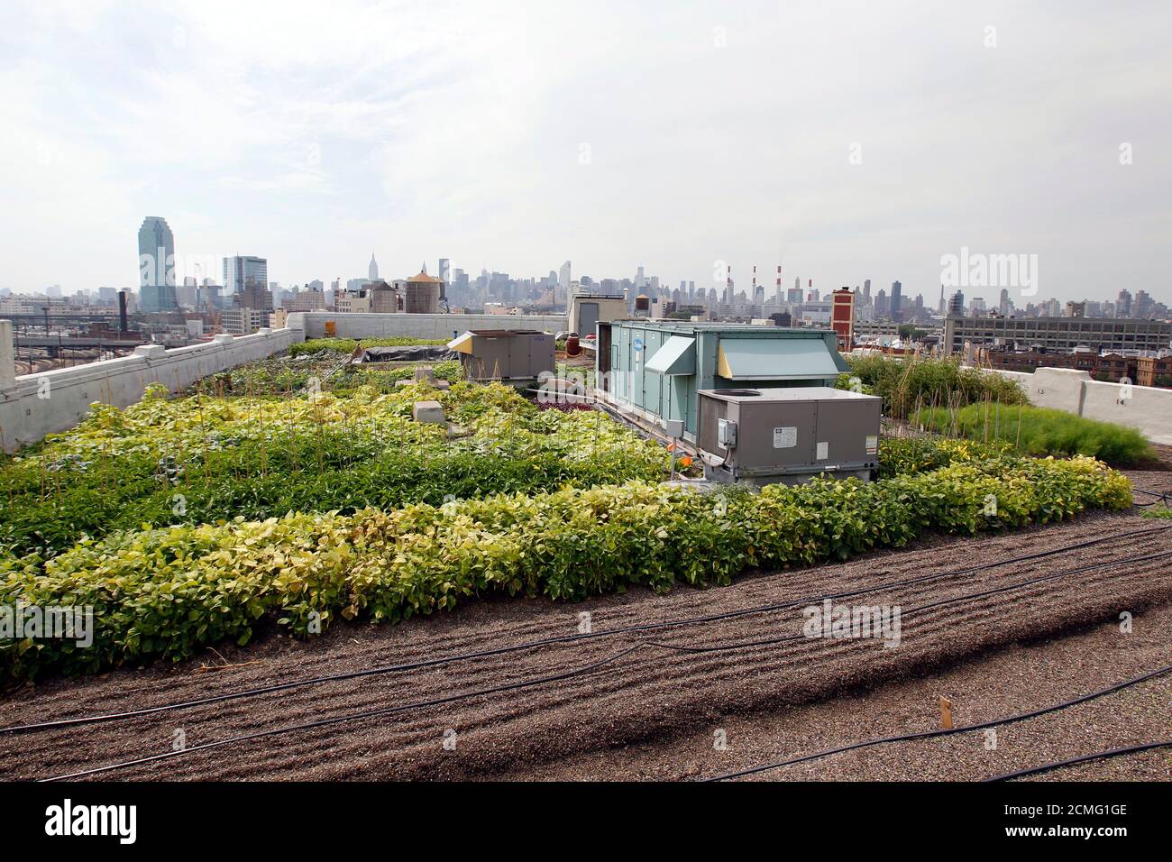 Brooklyn grange rooftop farm hi-res stock photography and images - Alamy