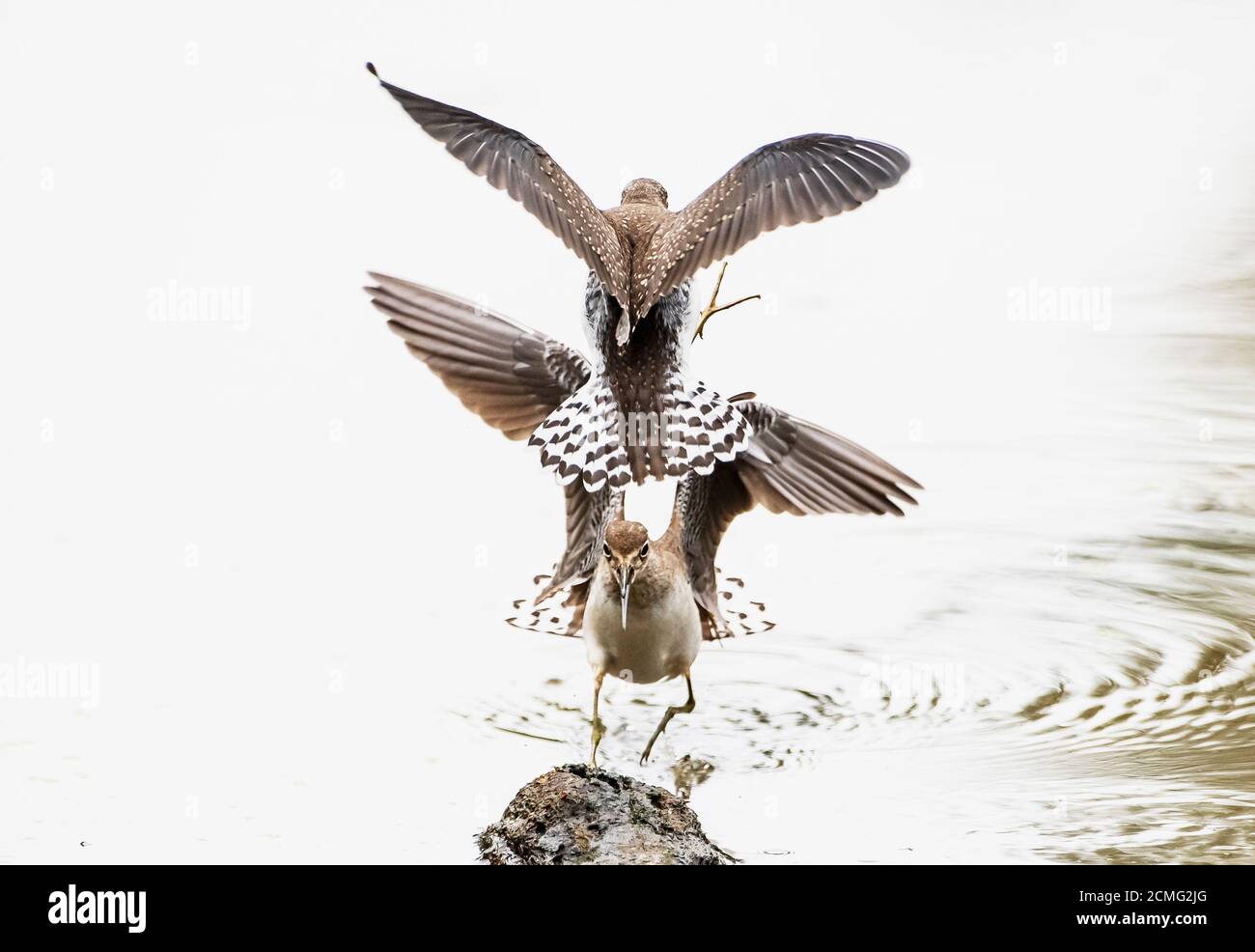 Altercation hi-res stock photography and images - Alamy