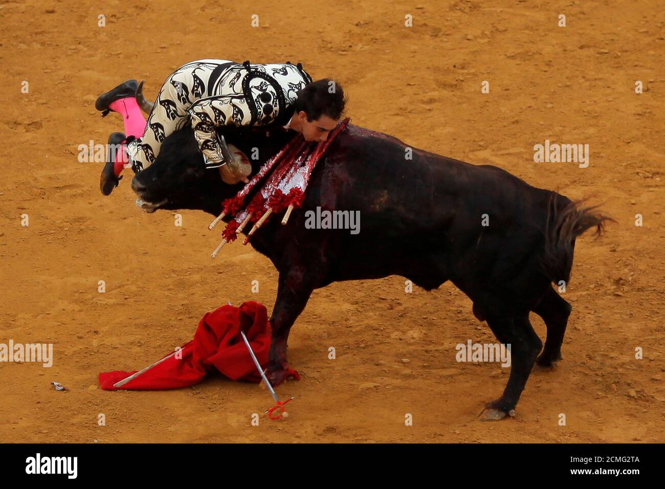 Spanish bullfighter saul jimenez fortes hi-res stock photography and ...