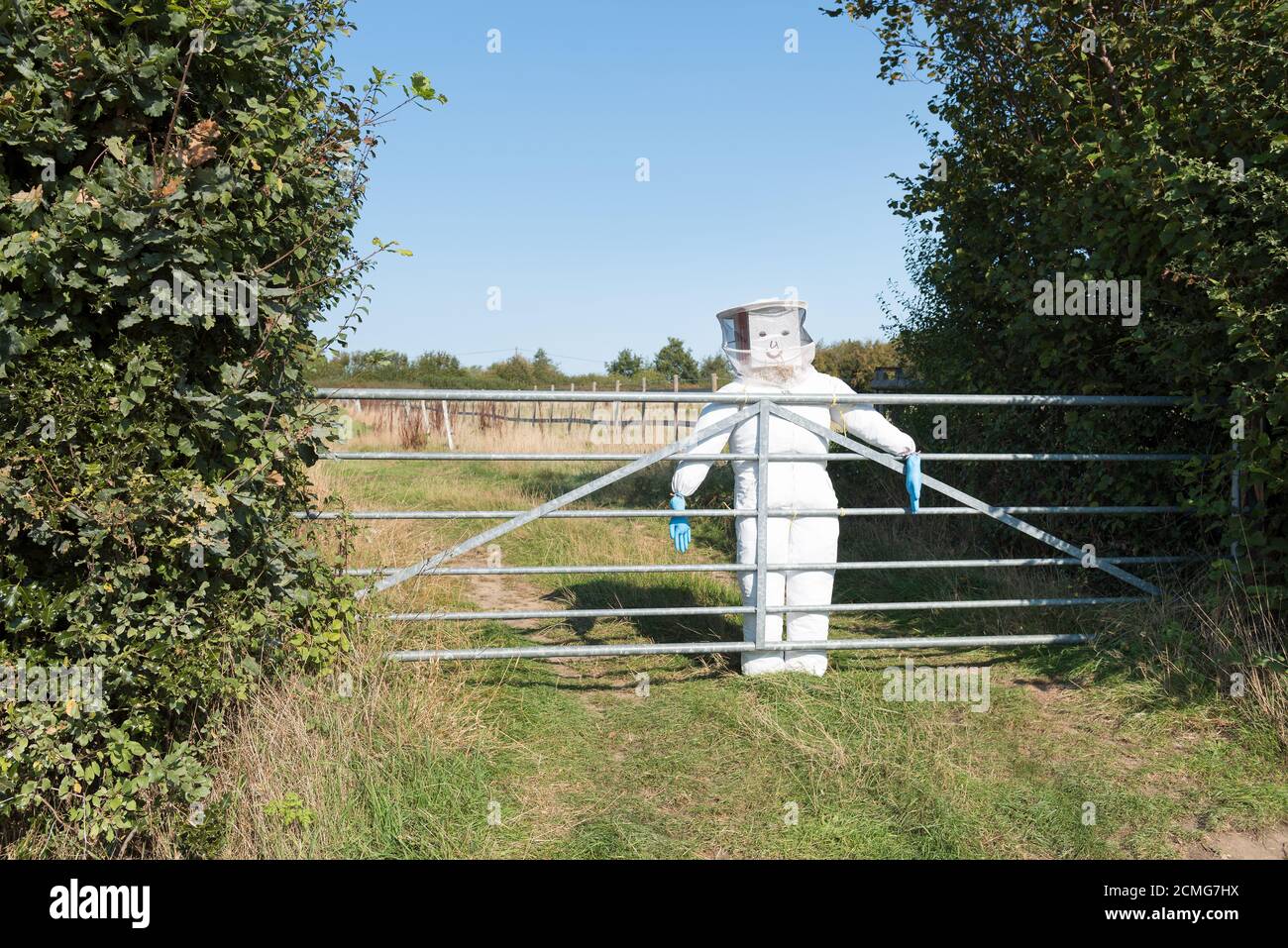 Life size unusual sight on country lane dressed up bee keeper scarecrow ...