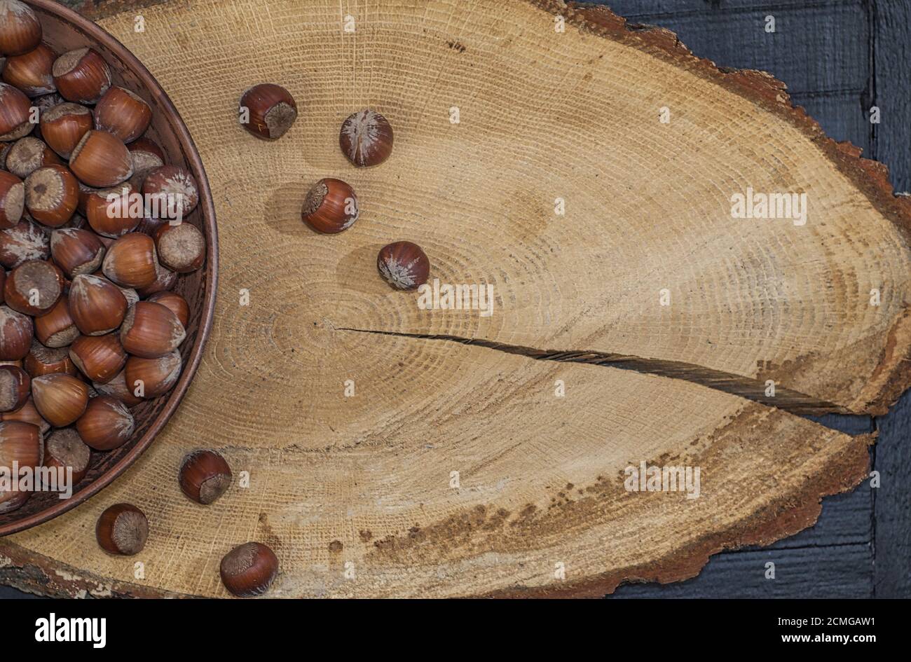 Hazelnut in shell hi-res stock photography and images - Alamy