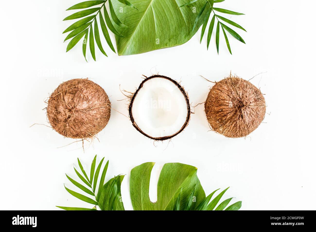 Pattern, frame borders with coconuts and tropical palm leaves on white ...