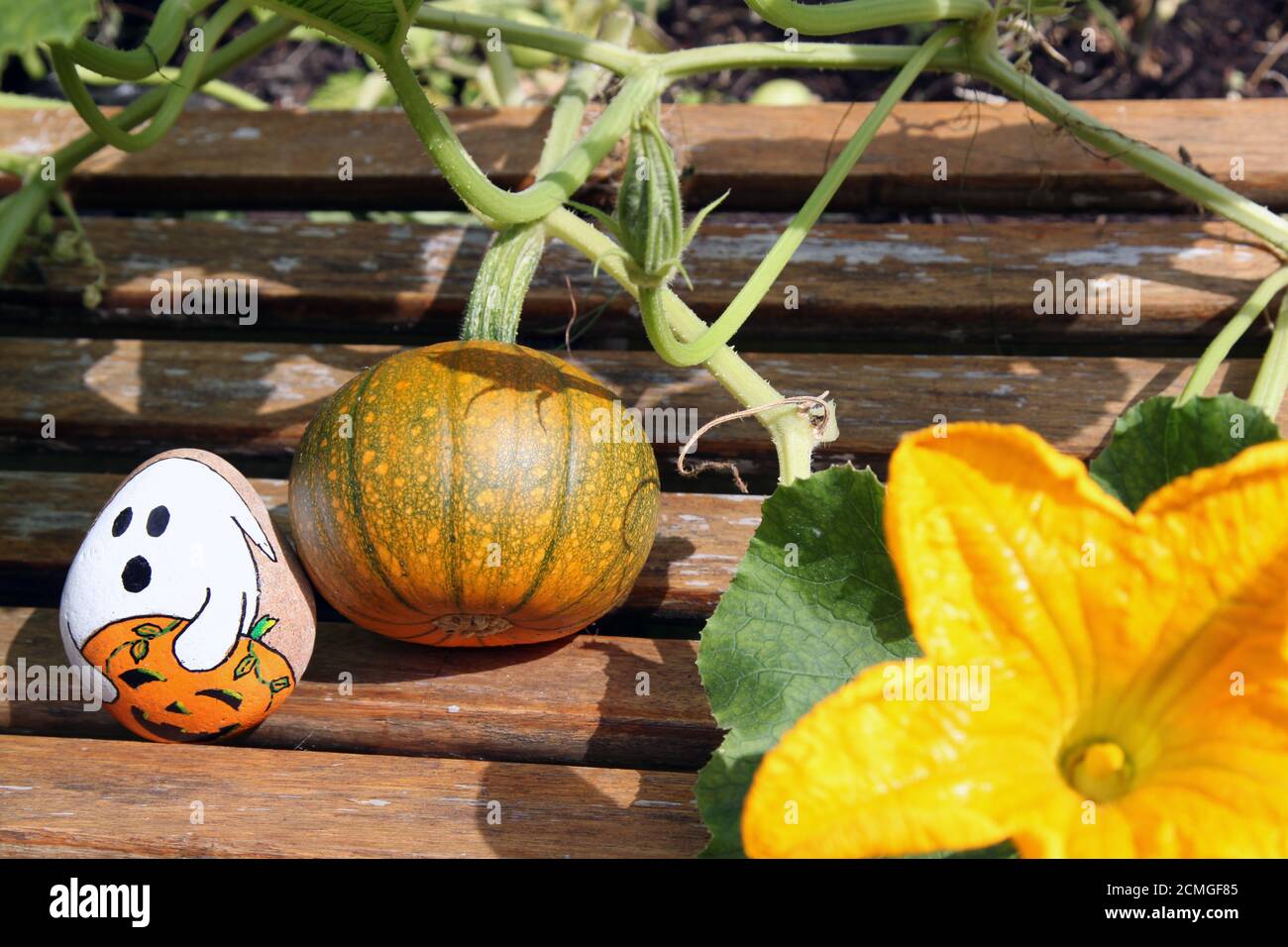 Ghost Rocks High Resolution Stock Photography and Images - Alamy