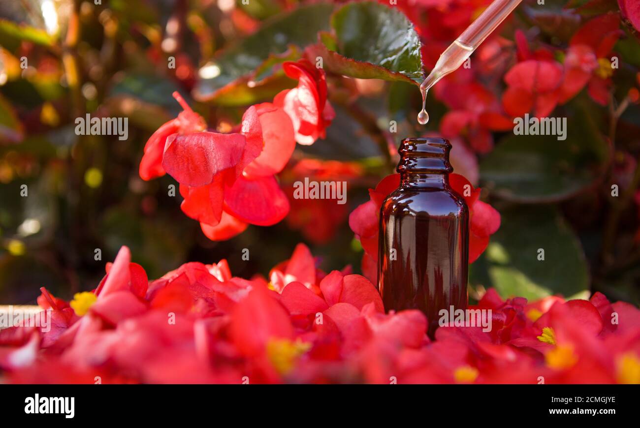Essential oils with dropper above bottle. Organic bio alternative ...