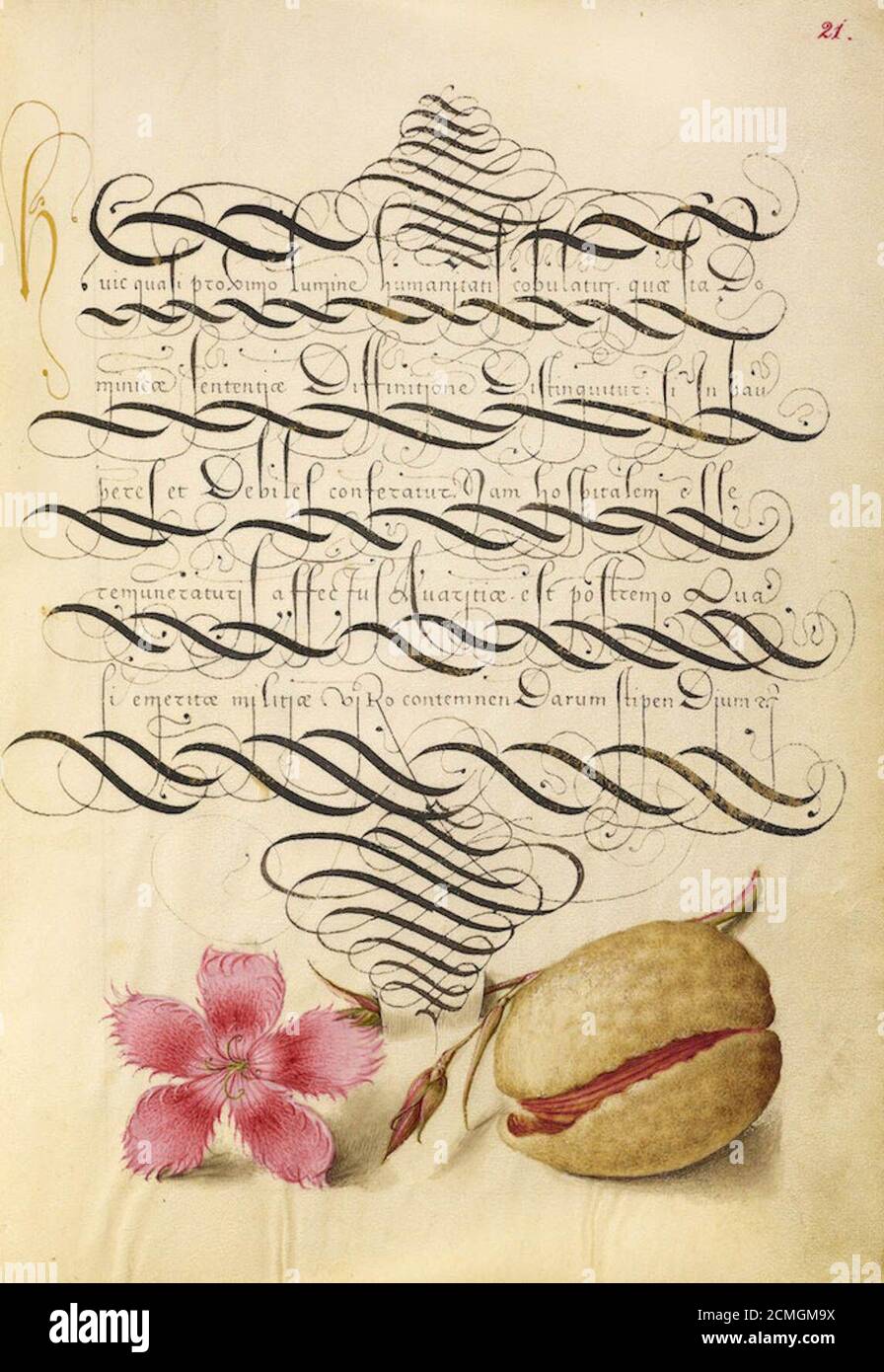 The model book of calligraphy hi-res stock photography and images - Alamy