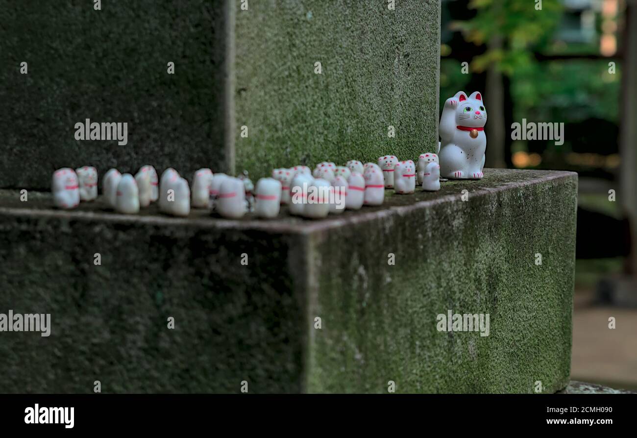 View of a line of Japanese maneki-neko "beckoning cat" figurines curving around the corner of ...