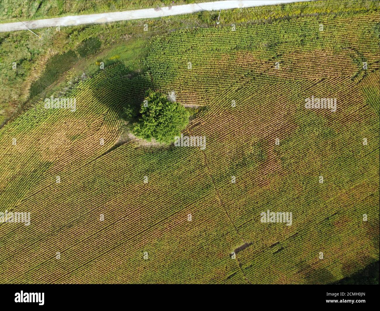 Aerial view of fields at sunset Stock Photo - Alamy