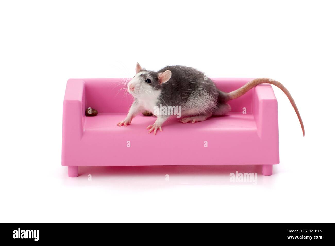 Pink fluffy sofa Cut Out Stock Images & Pictures - Alamy