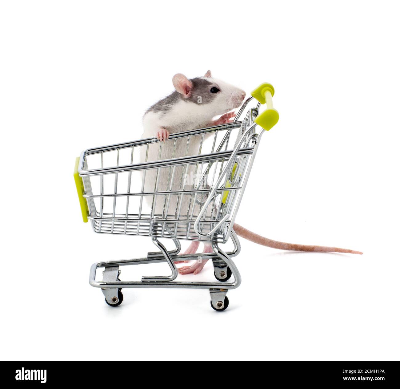Shopping trolley supermarket hi-res stock photography and images - Alamy