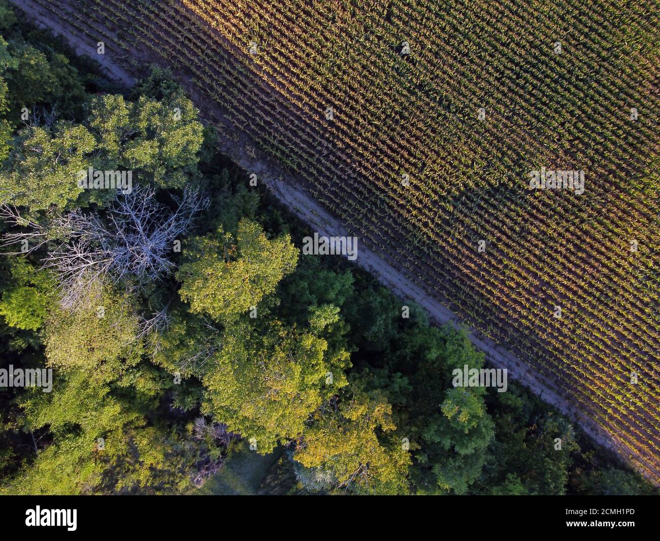 Aerial view of fields at sunset Stock Photo - Alamy