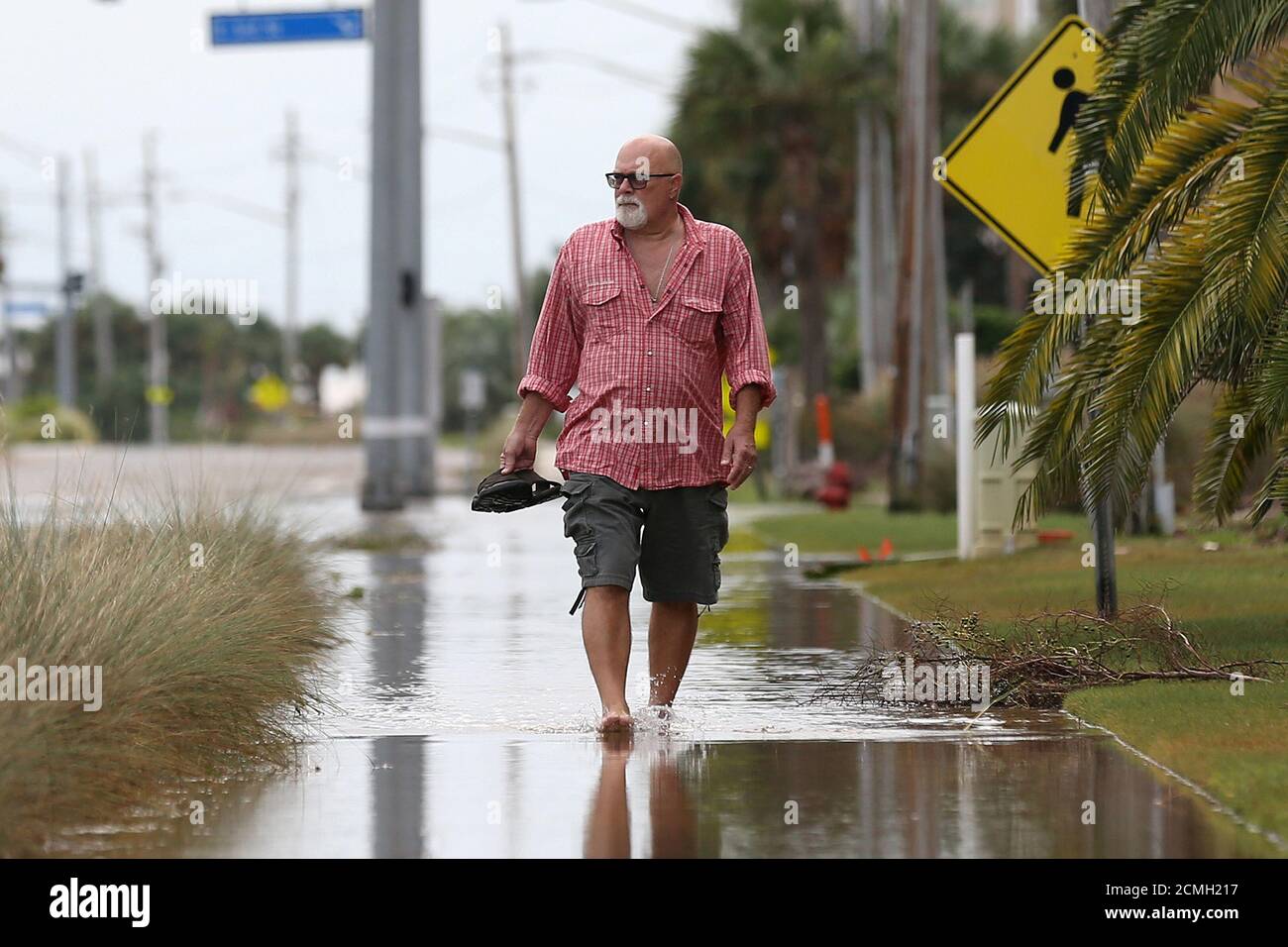 Frese High Resolution Stock Photography and Images - Alamy