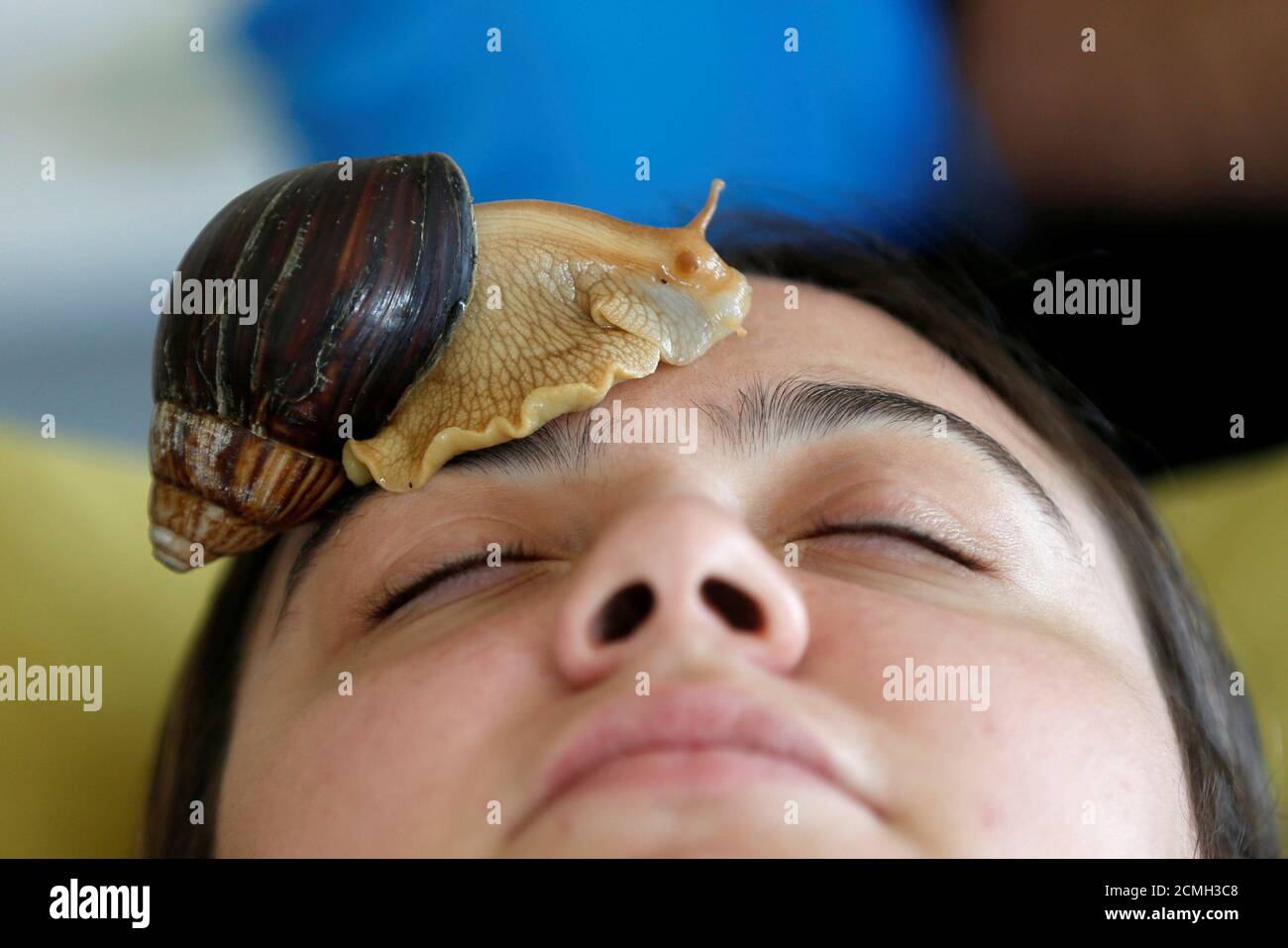 African land snails hi-res stock photography and images - Alamy