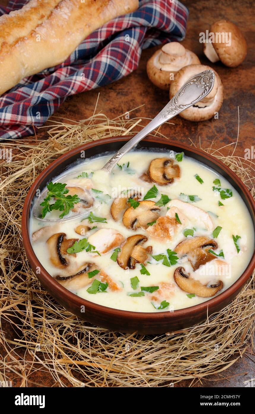 Soup puree from of champignons and chicken Stock Photo - Alamy