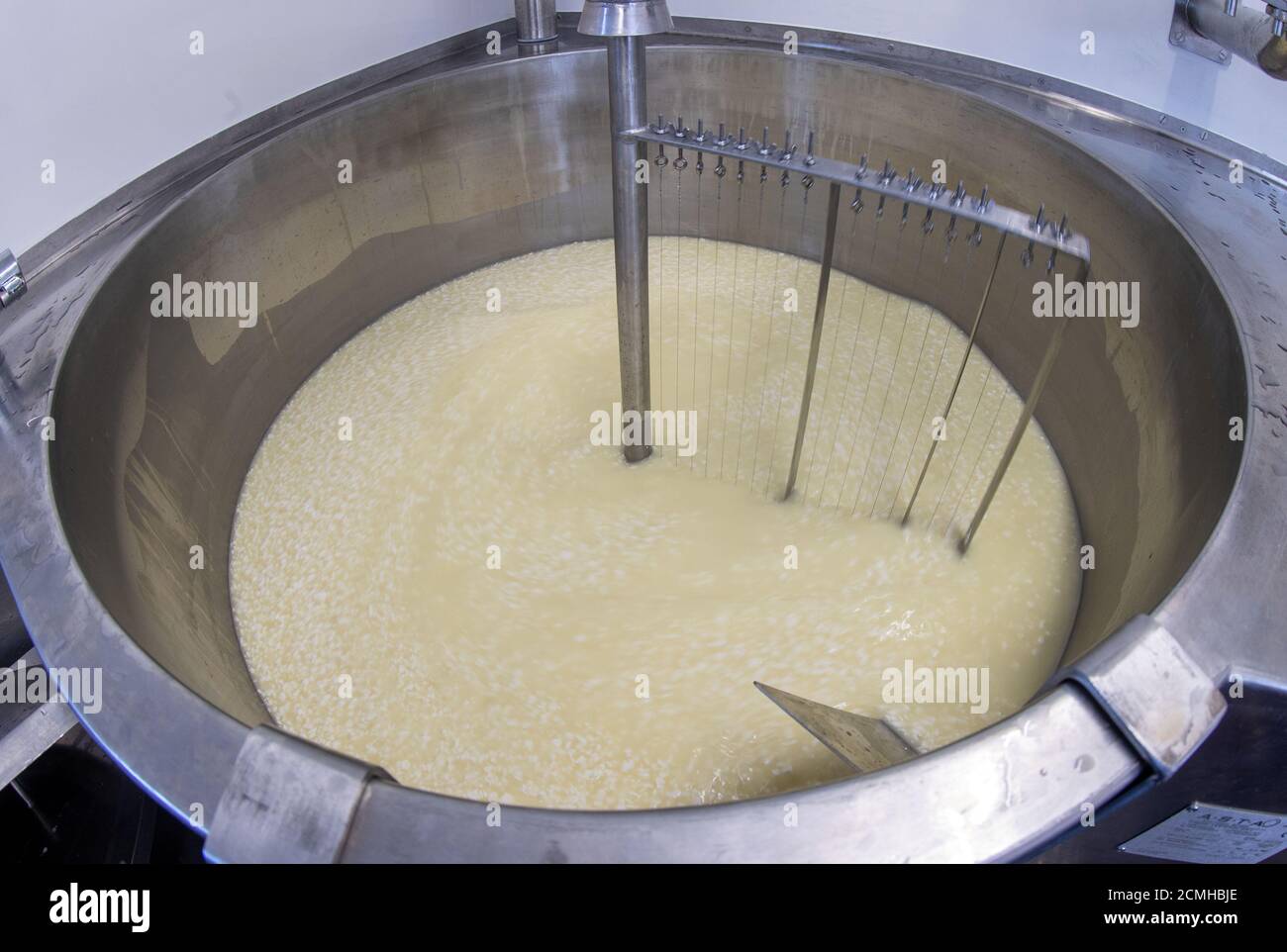 17 September 2020, Mecklenburg-Western Pomerania, Alt Sührkow: Cheese ...