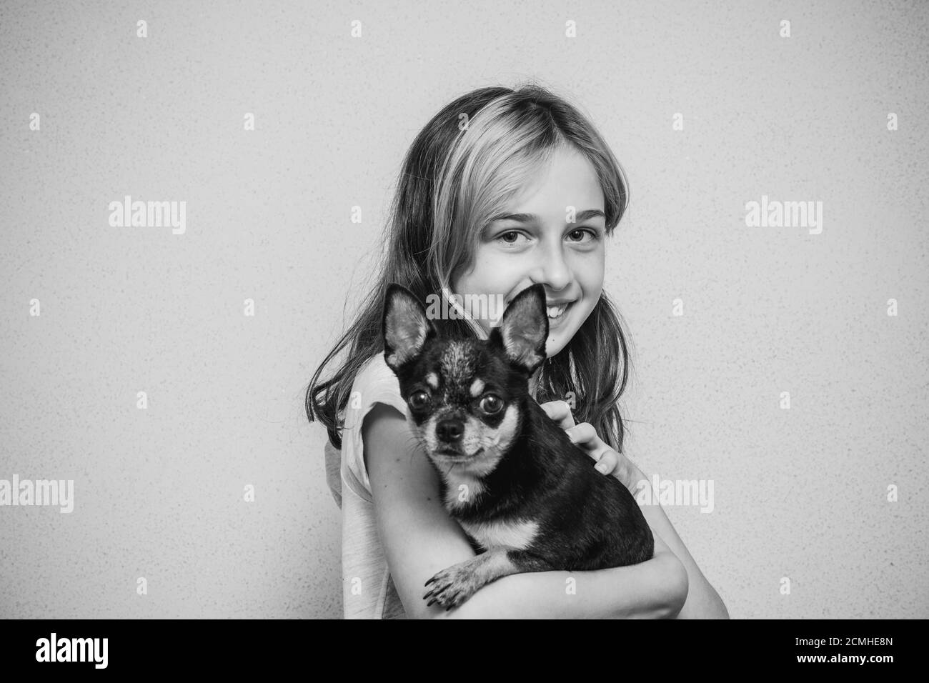 Adorable little girl holding chihuahua puppy standing. girl holding ...