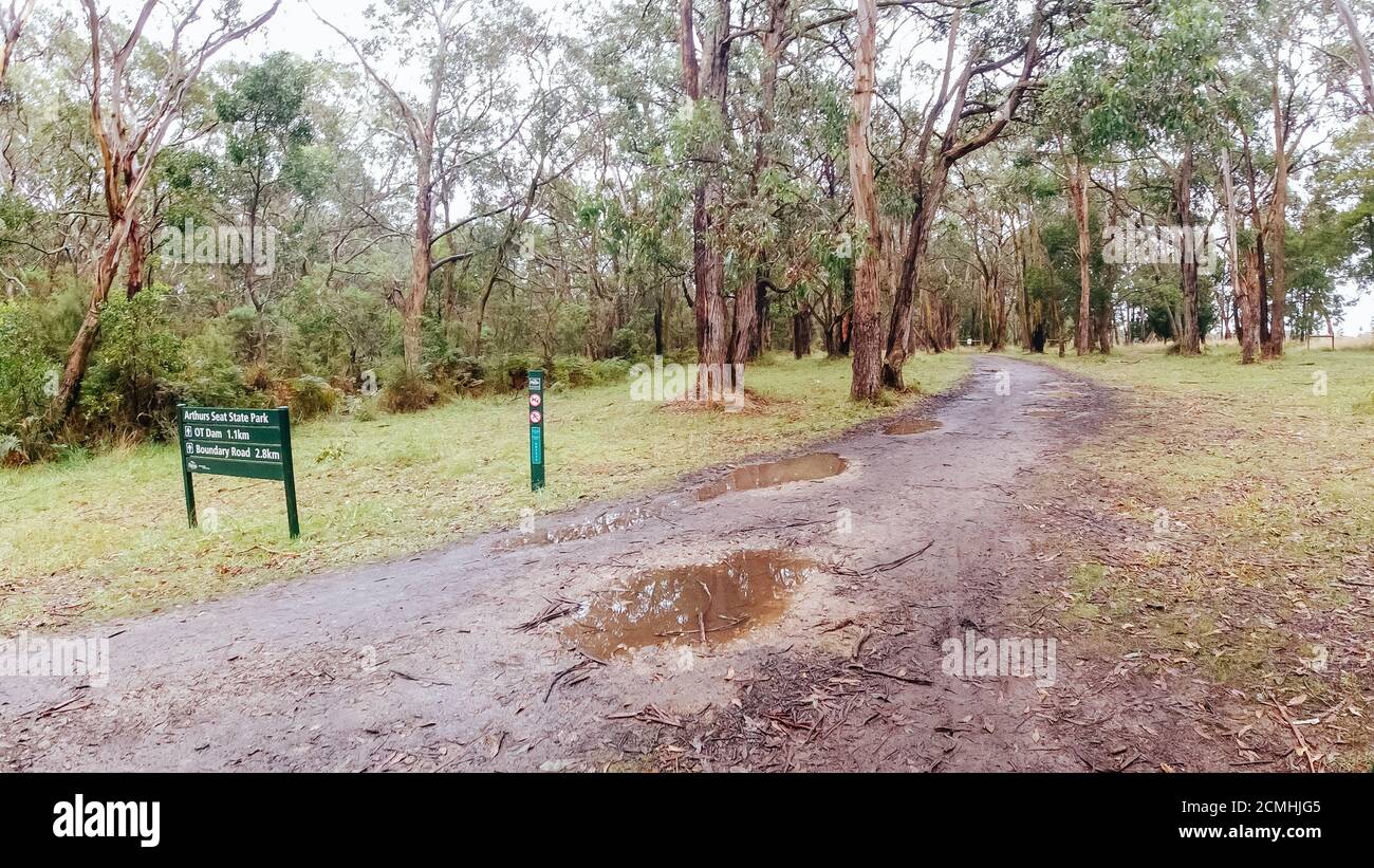 Red Hill Mountain Bike Park in Australia Stock Photo - Alamy