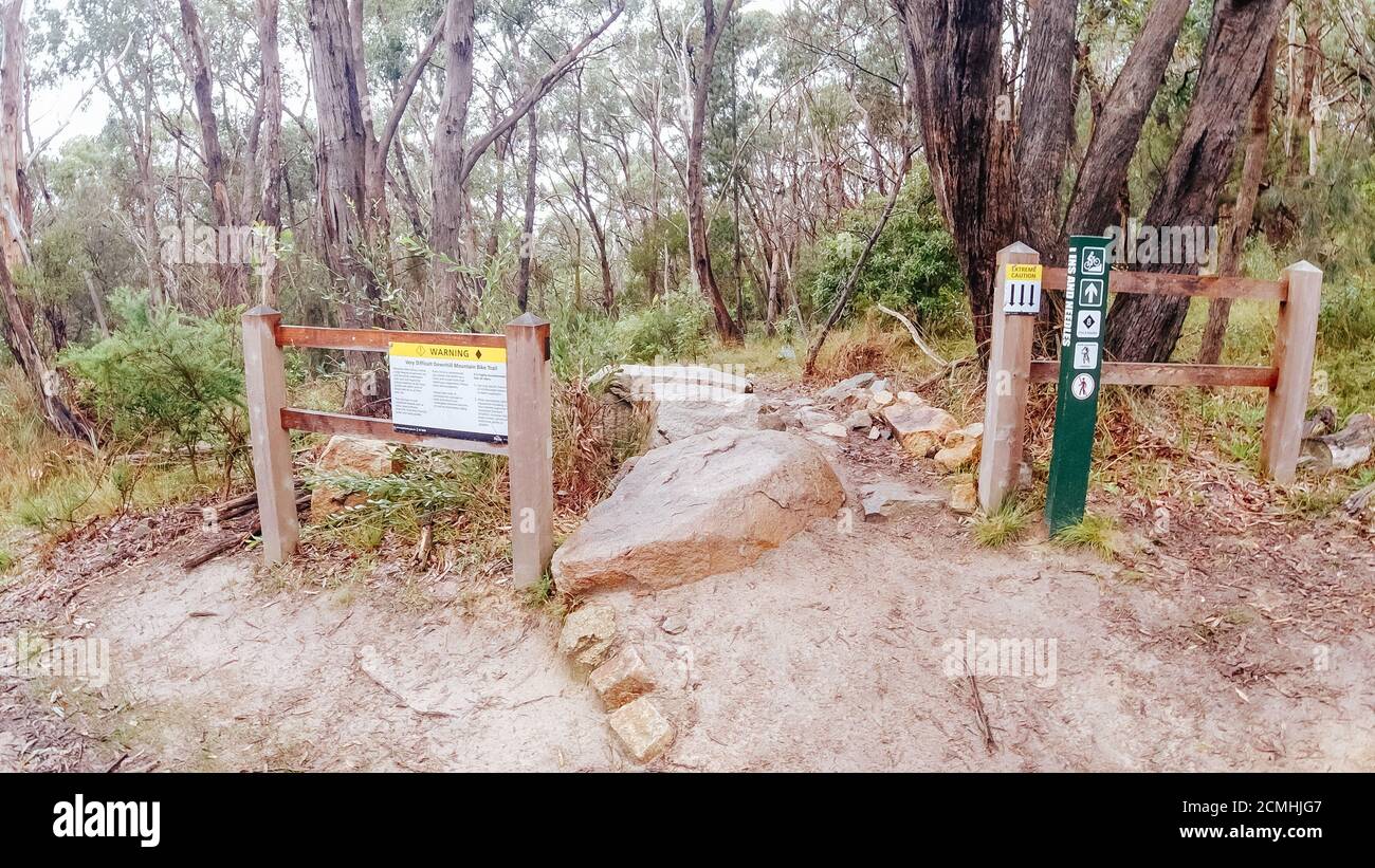Red Hill Mountain Bike Park in Australia Stock Photo - Alamy