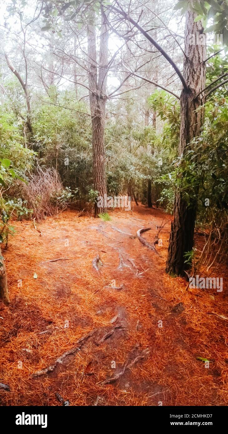 Dirt bike hill climb hi-res stock photography and images - Alamy