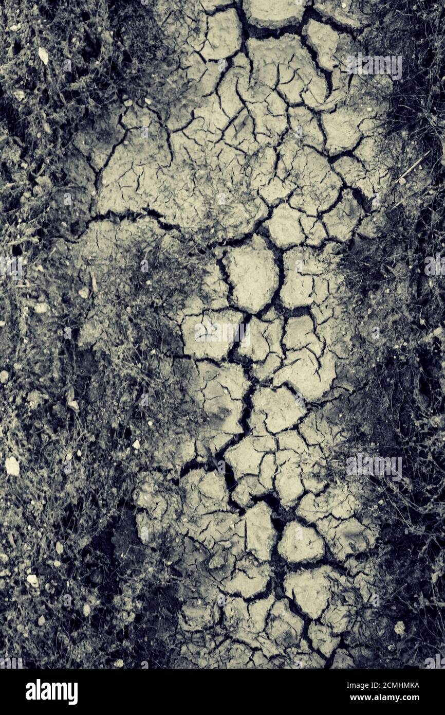 Looking at dry mud flats of receded lake bed Stock Photo - Alamy