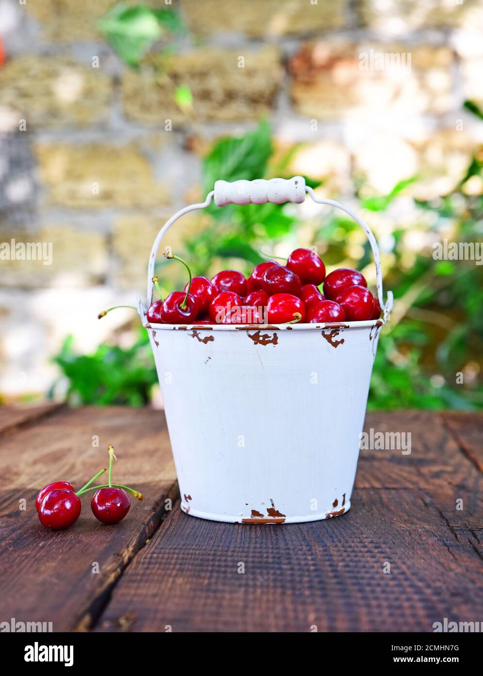 Red ripe cherry in a white iron bucket Stock Photo - Alamy