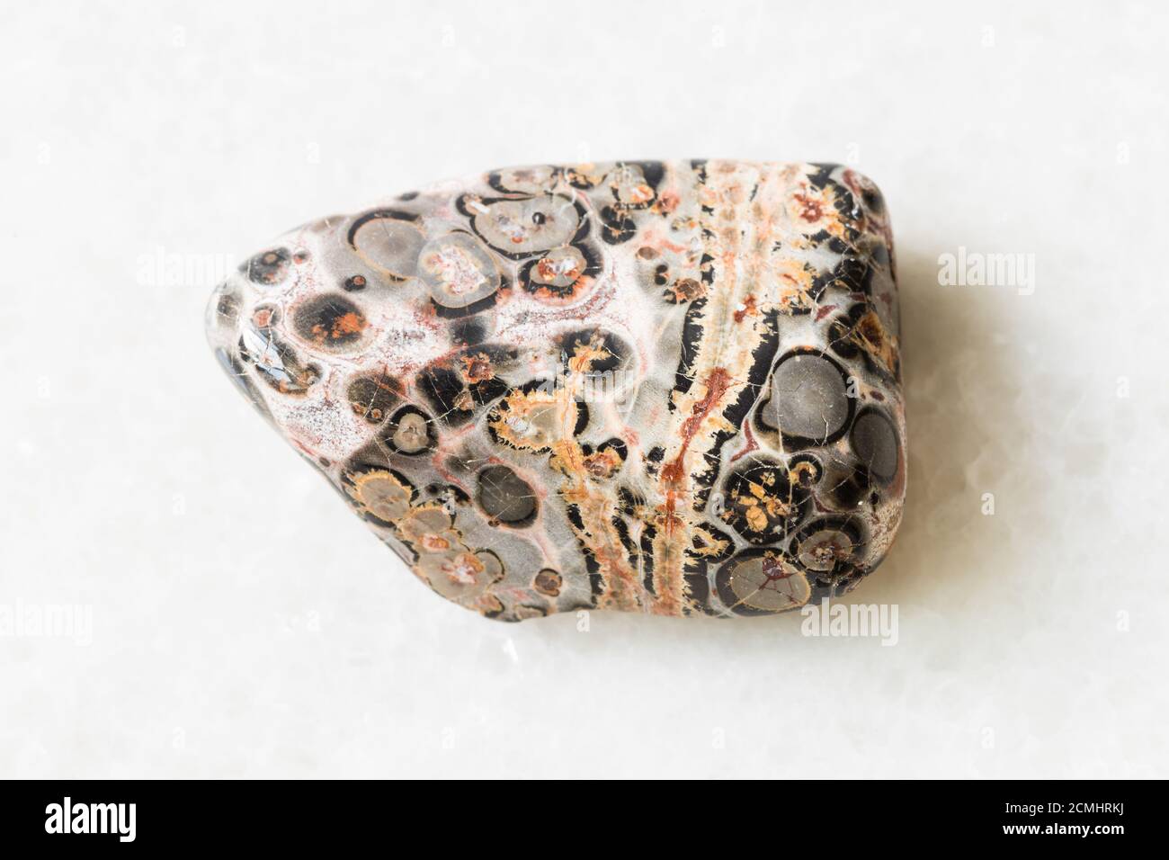 closeup of sample of natural mineral from geological collection ...