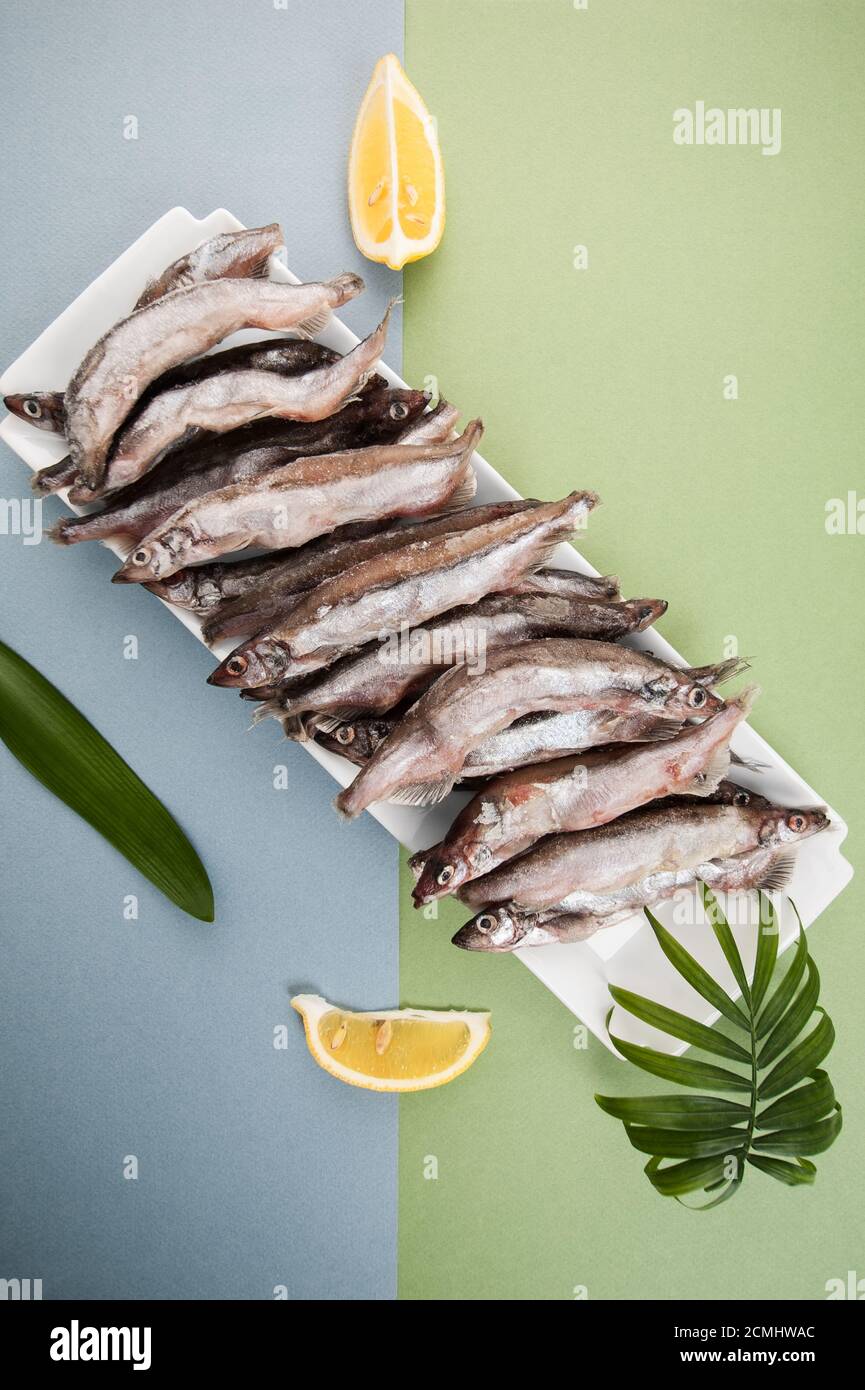 Frozen fish plant hi-res stock photography and images - Alamy