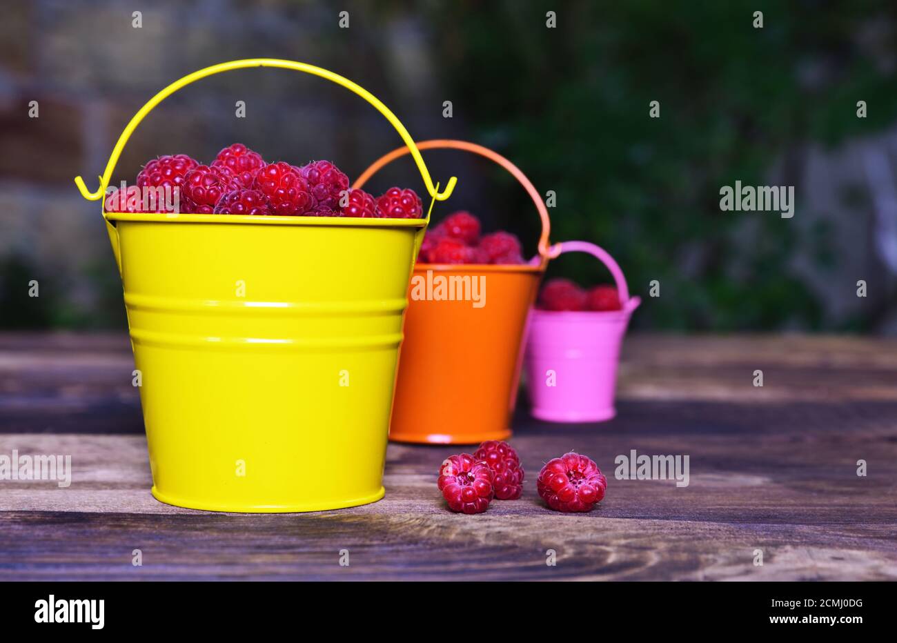 Ripe red raspberries in iron buckets Stock Photo - Alamy