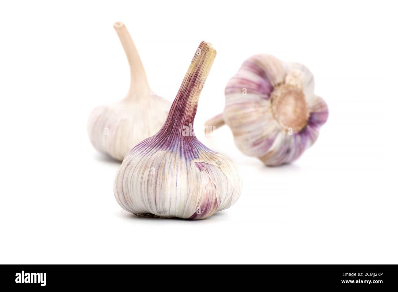 A large young garlic on a clean white background Stock Photo - Alamy