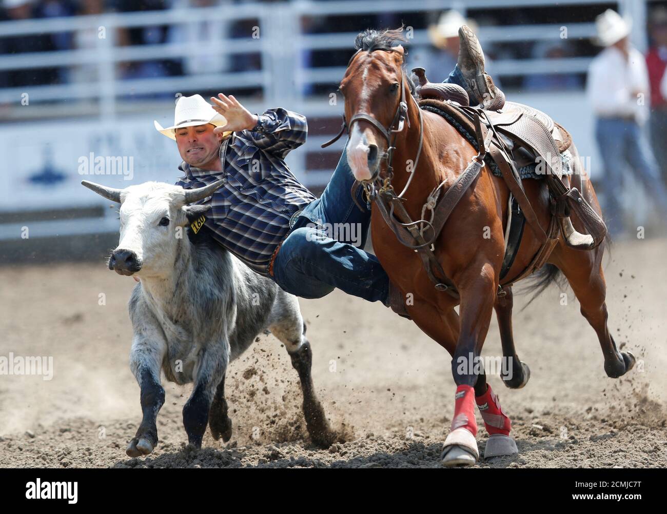 Ponoka stampede hi-res stock photography and images - Alamy