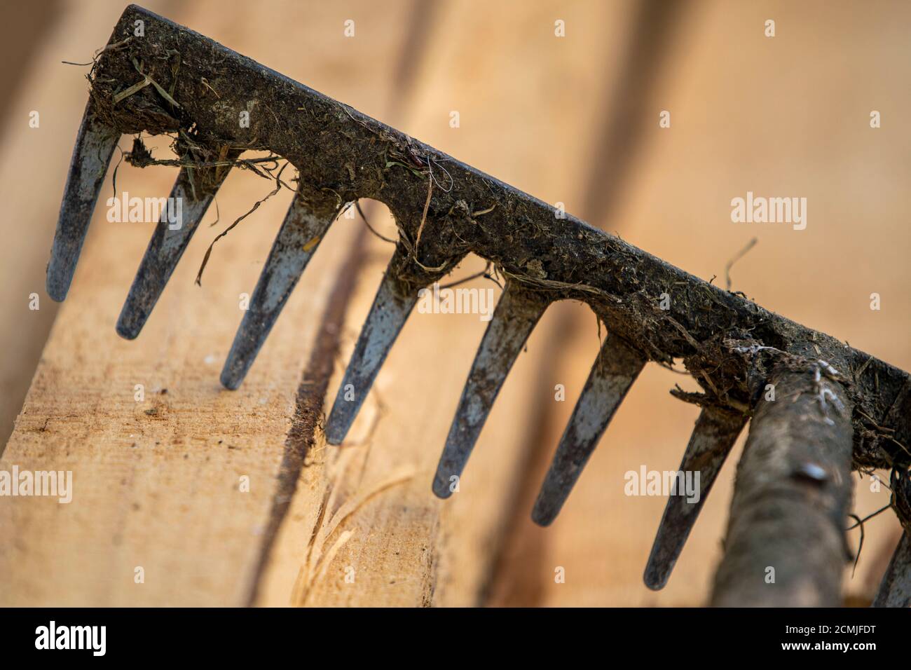 Rake for gardening up close Stock Photo - Alamy