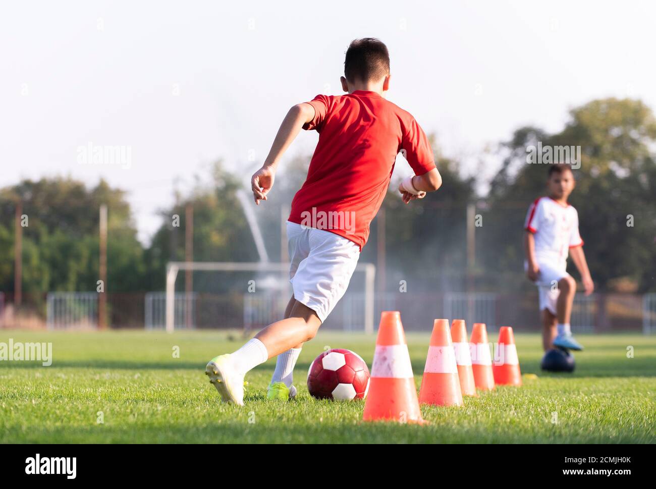 Agility practice hi-res stock photography and images - Alamy