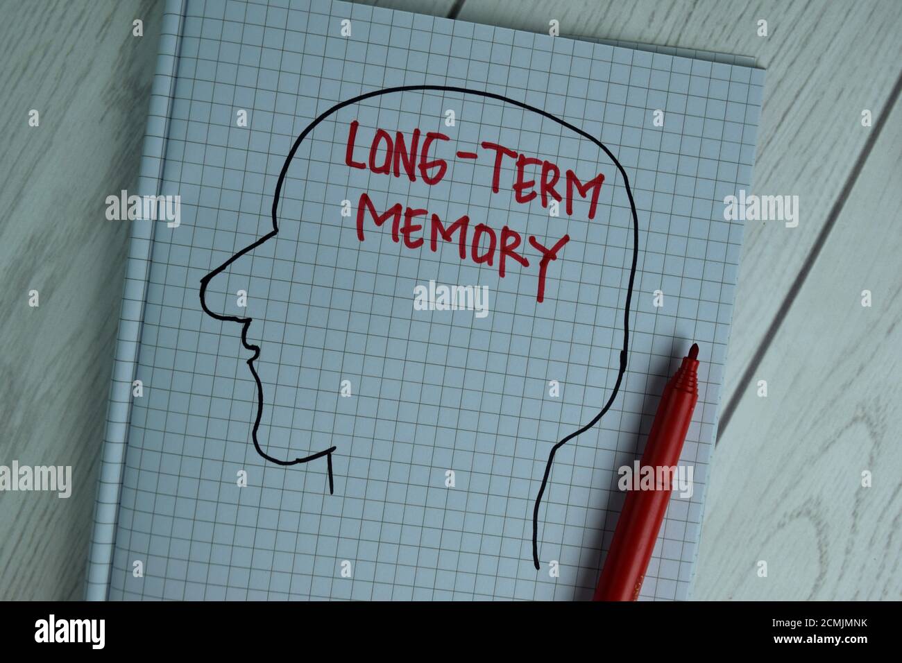 Long-Term Memory write on a book isolated on office desk Stock Photo ...