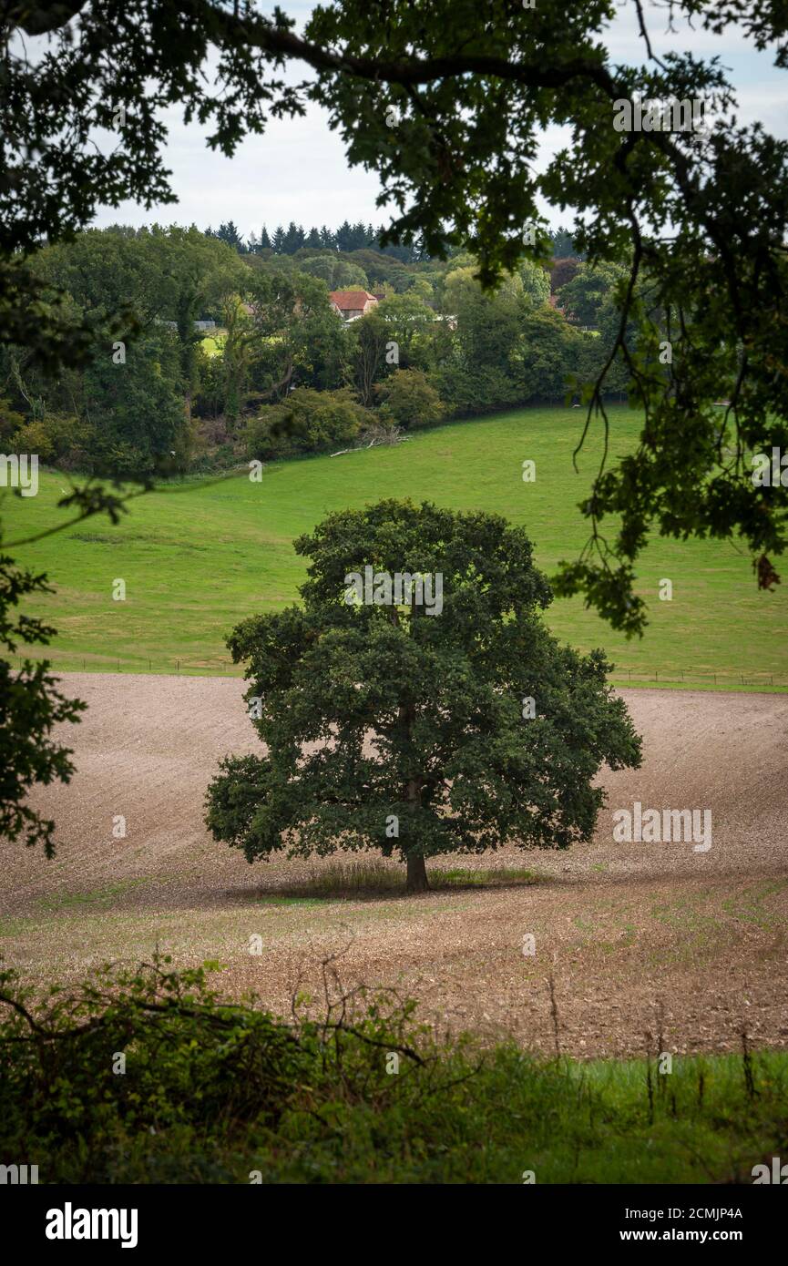English farm scene hi-res stock photography and images - Alamy